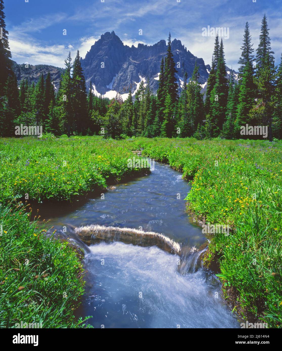 Three Fingered Jack from Canyon Creek Meadow, Cascade Range, Oregon ...