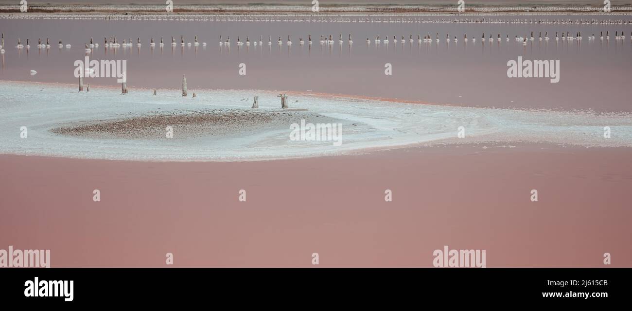 Pink salt crystals. Natural pink salt lake texture. Salt mining ...