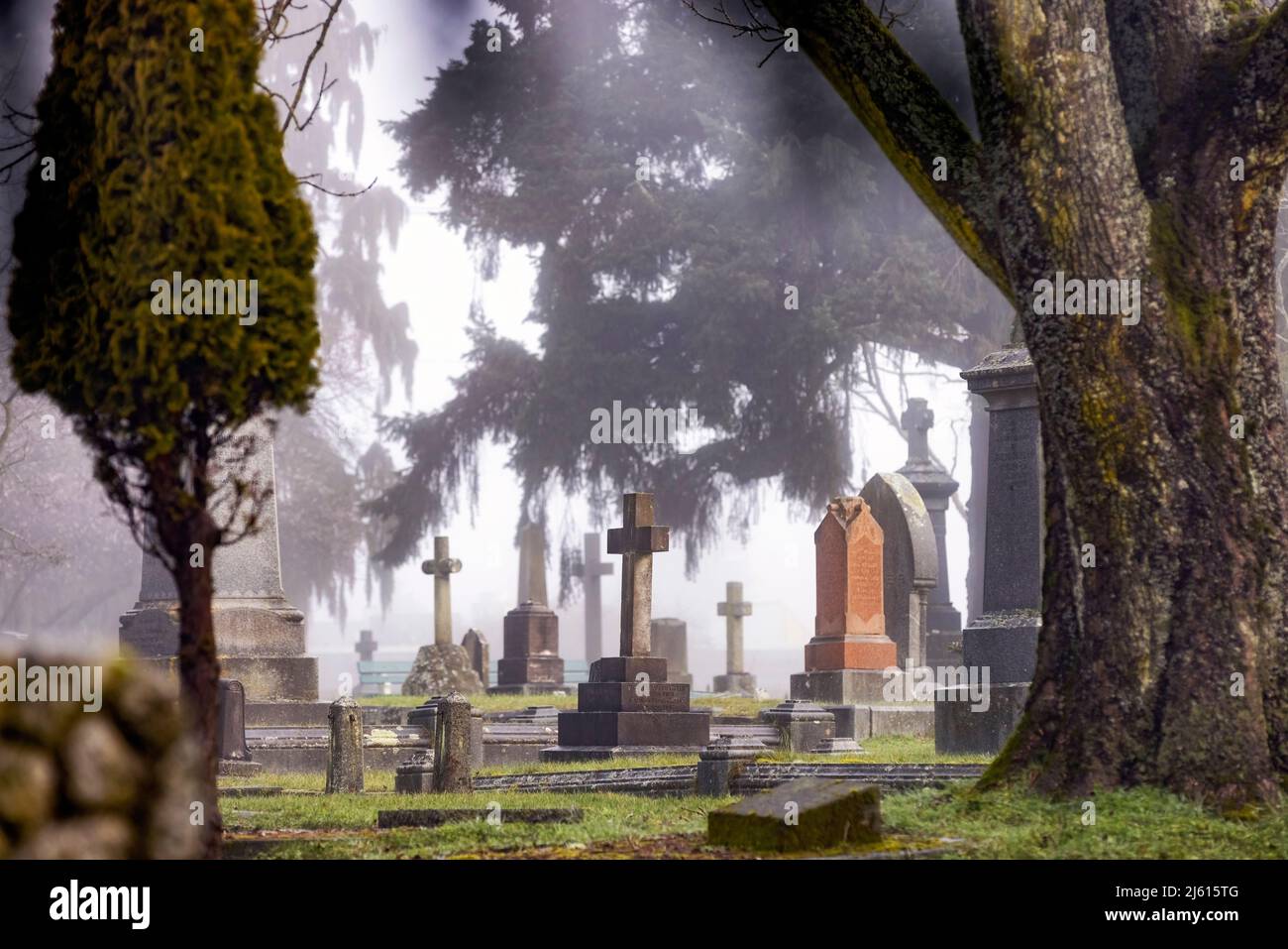 Ross bay cemetery victoria hi-res stock photography and images - Alamy