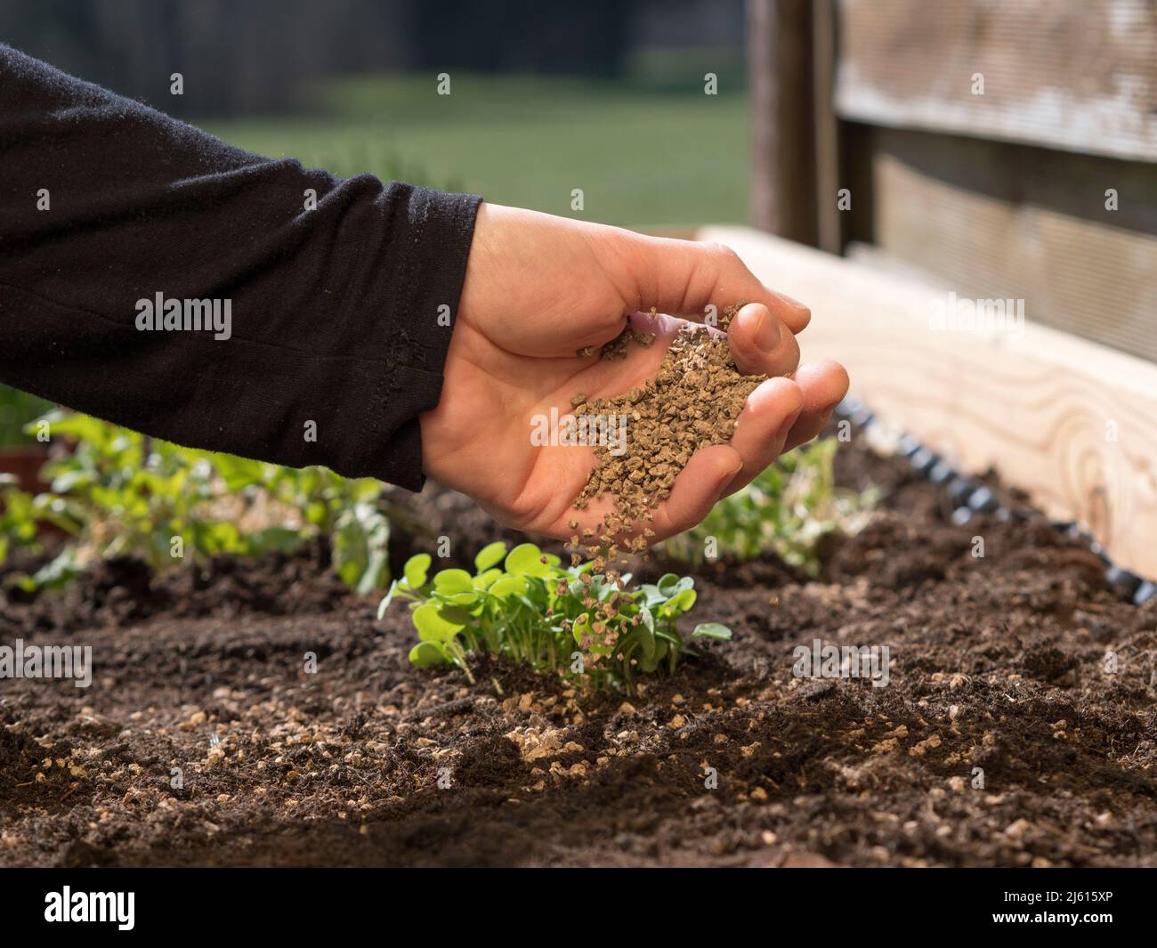 Soil fertilisation hi-res stock photography and images - Alamy