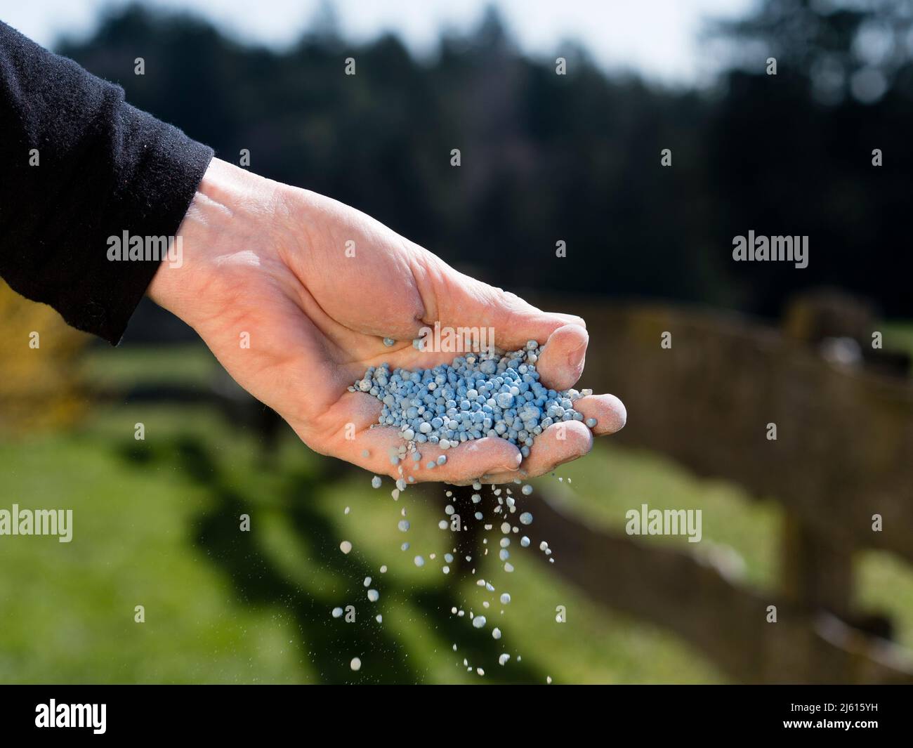 how to give chemical fertilizer - multi purpose, soil, farmer hand ...