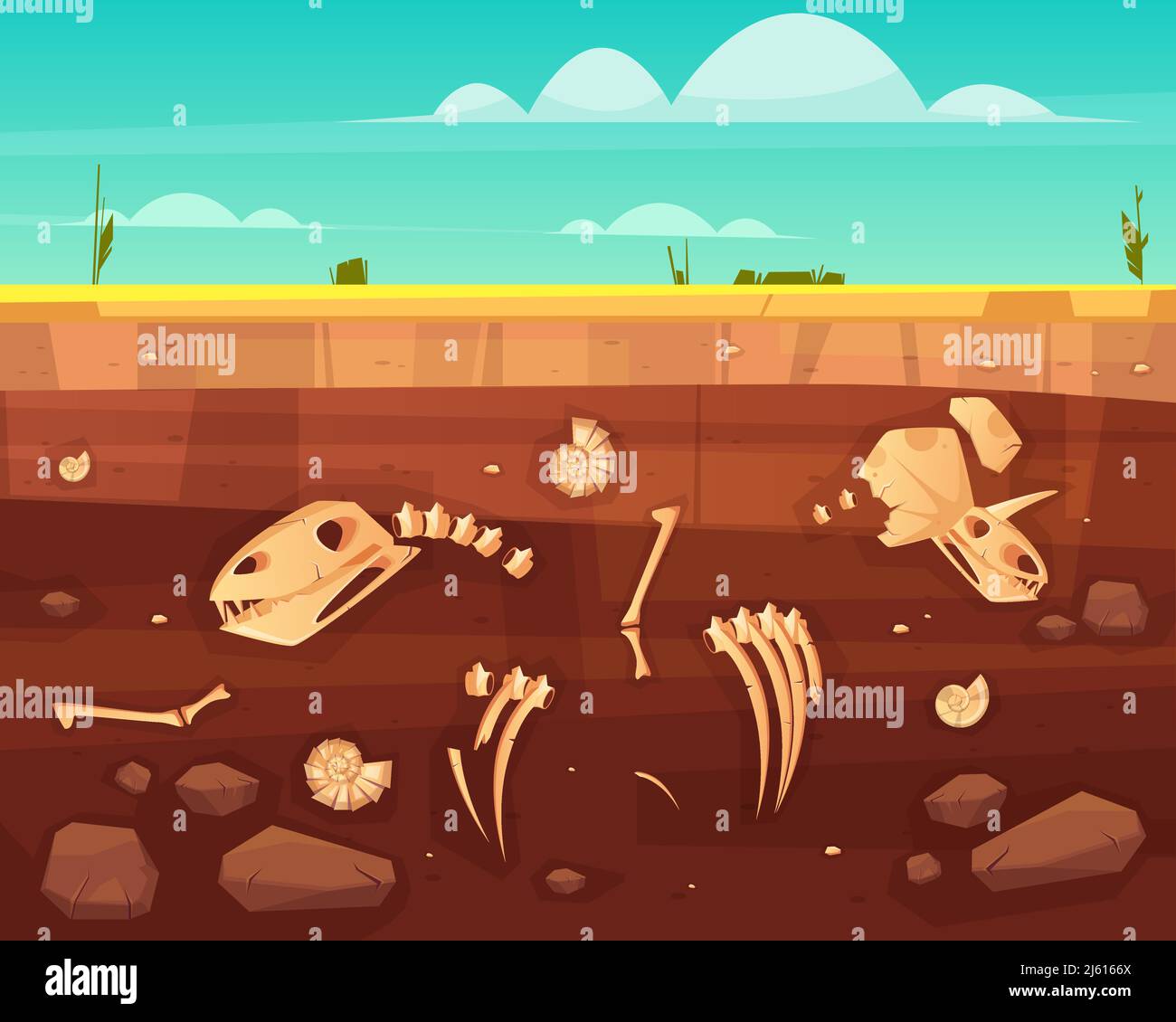 Bone cross section dinosaur Stock Vector Images - Alamy