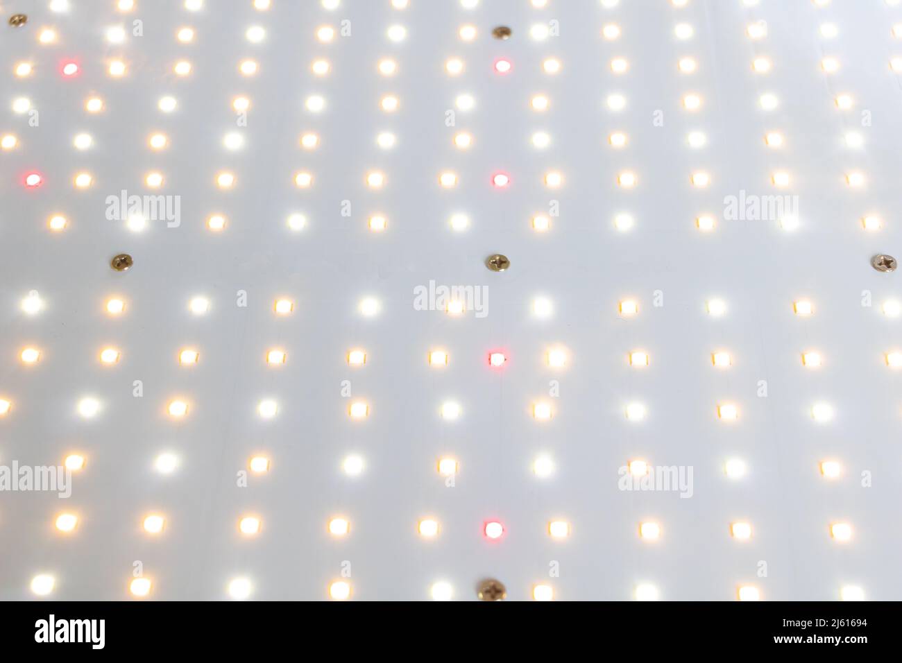 Led artificial light plants hi-res stock photography and images - Alamy
