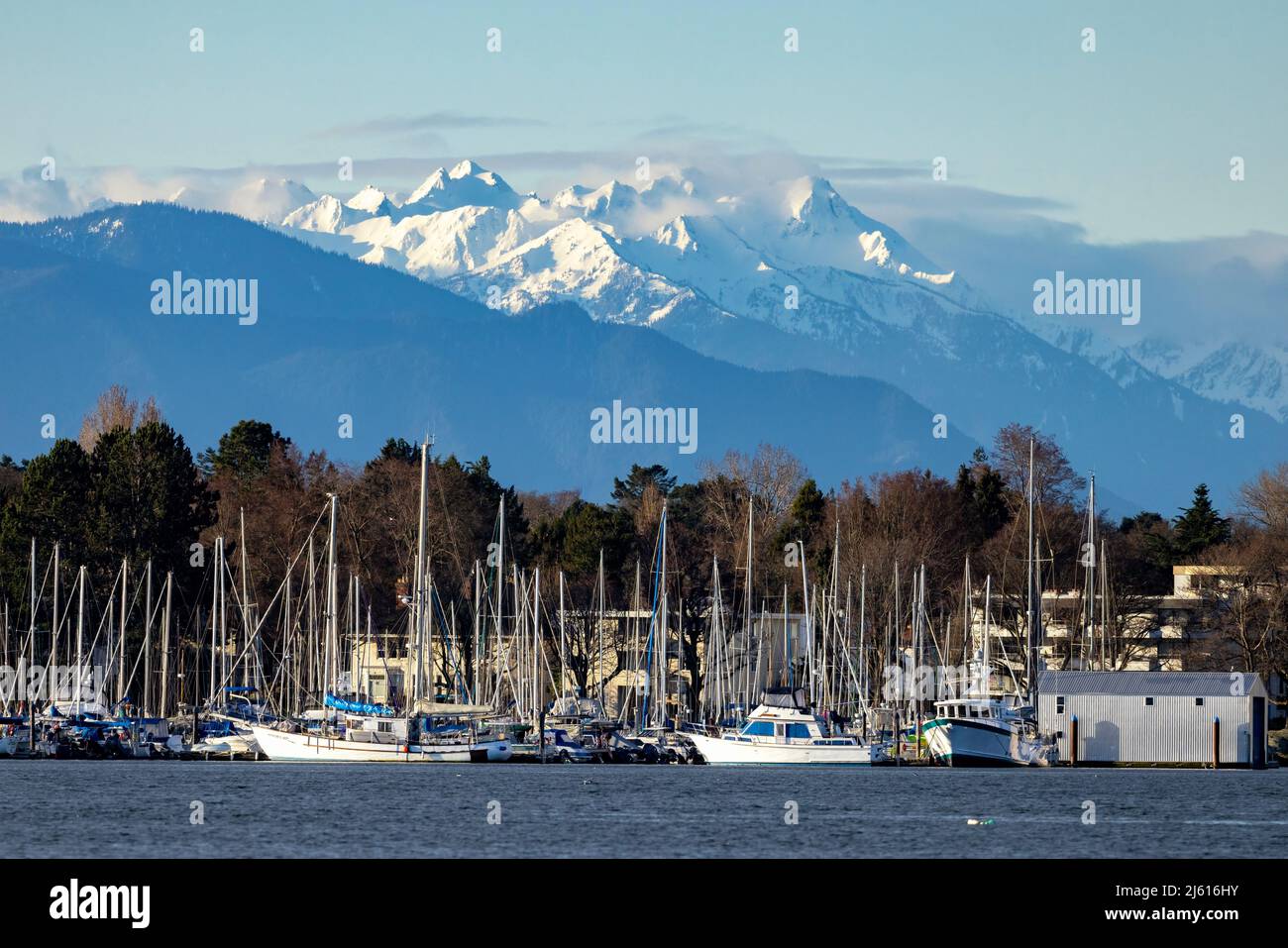 Oak Bay Marina with the Olympic Mountains in the background, Oak Bay ...