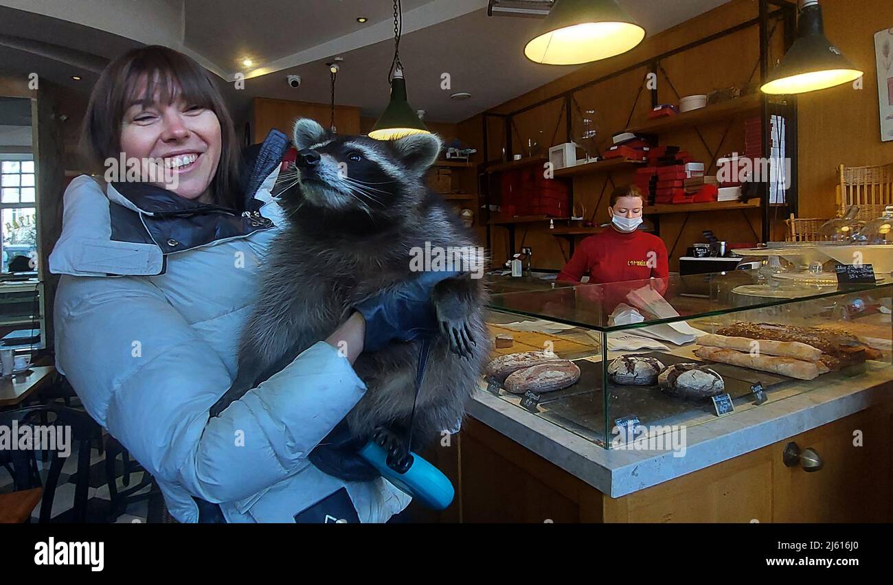 KYIV, UKRAINE 11 March. A Ukrainian woman carries a raccoon in La ...
