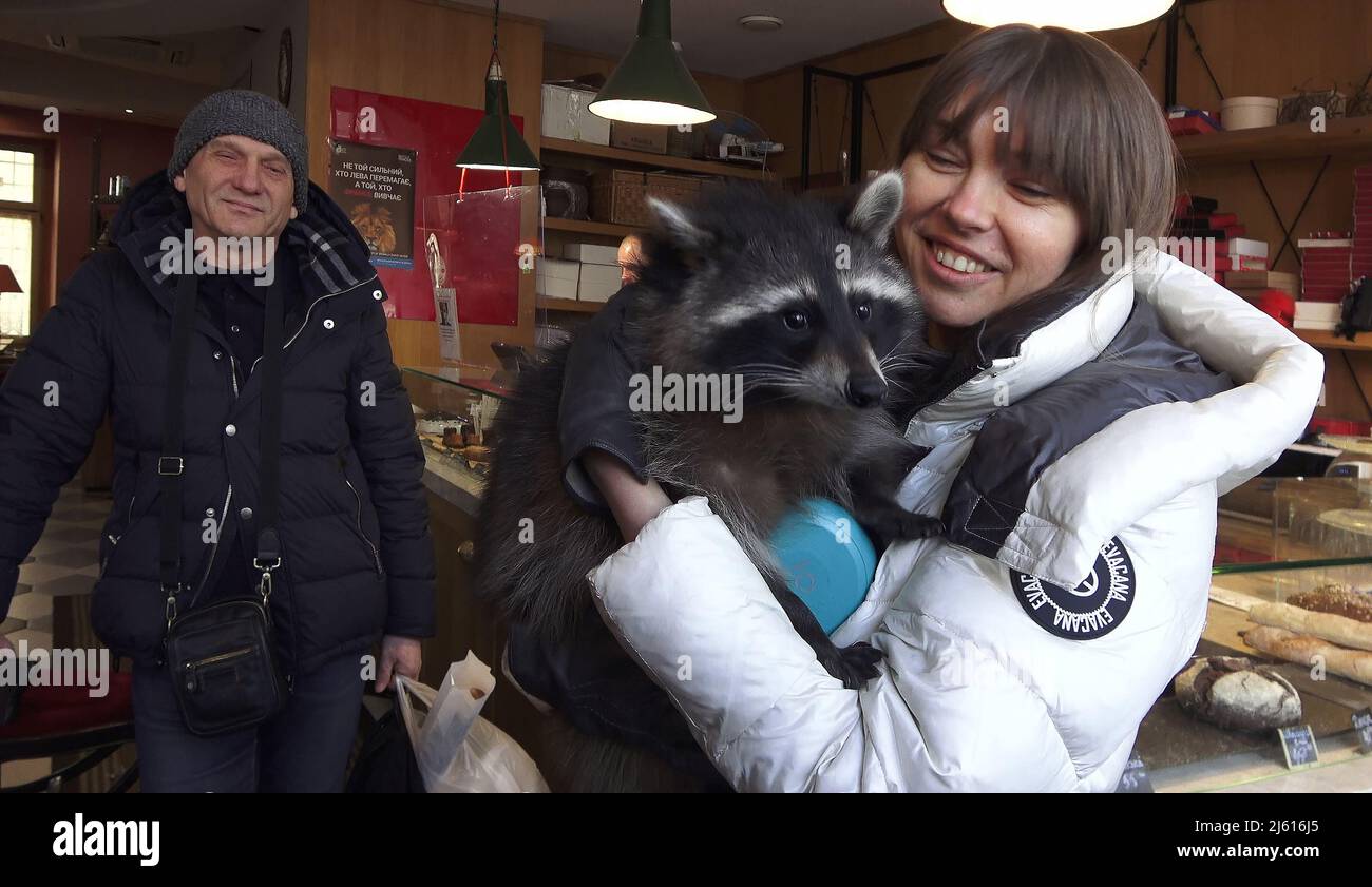 KYIV, UKRAINE 11 March. A Ukrainian woman carries a raccoon in La ...