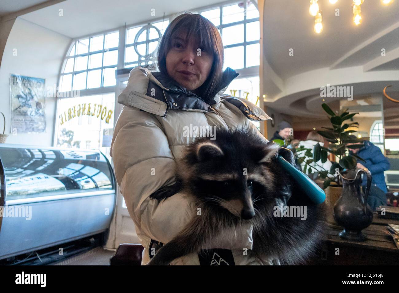KYIV, UKRAINE 11 March. A Ukrainian woman carries a raccoon in La ...