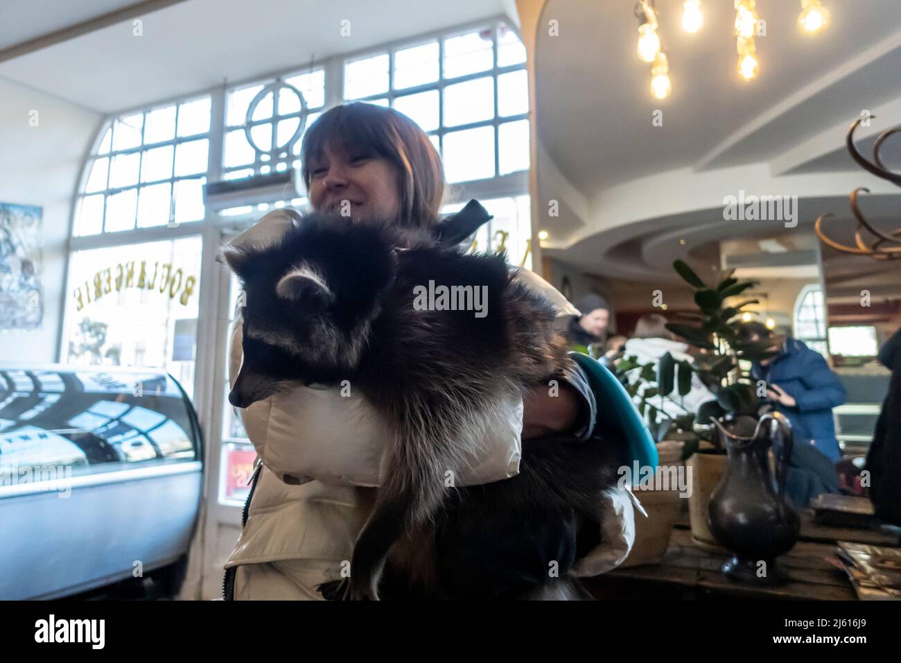 KYIV, UKRAINE 11 March. A Ukrainian woman carries a raccoon as she ...
