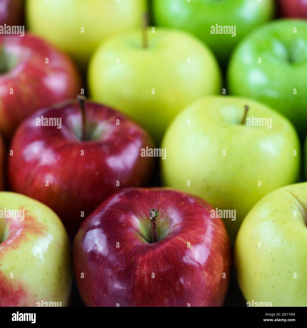 Back blur hi-res stock photography and images - Alamy