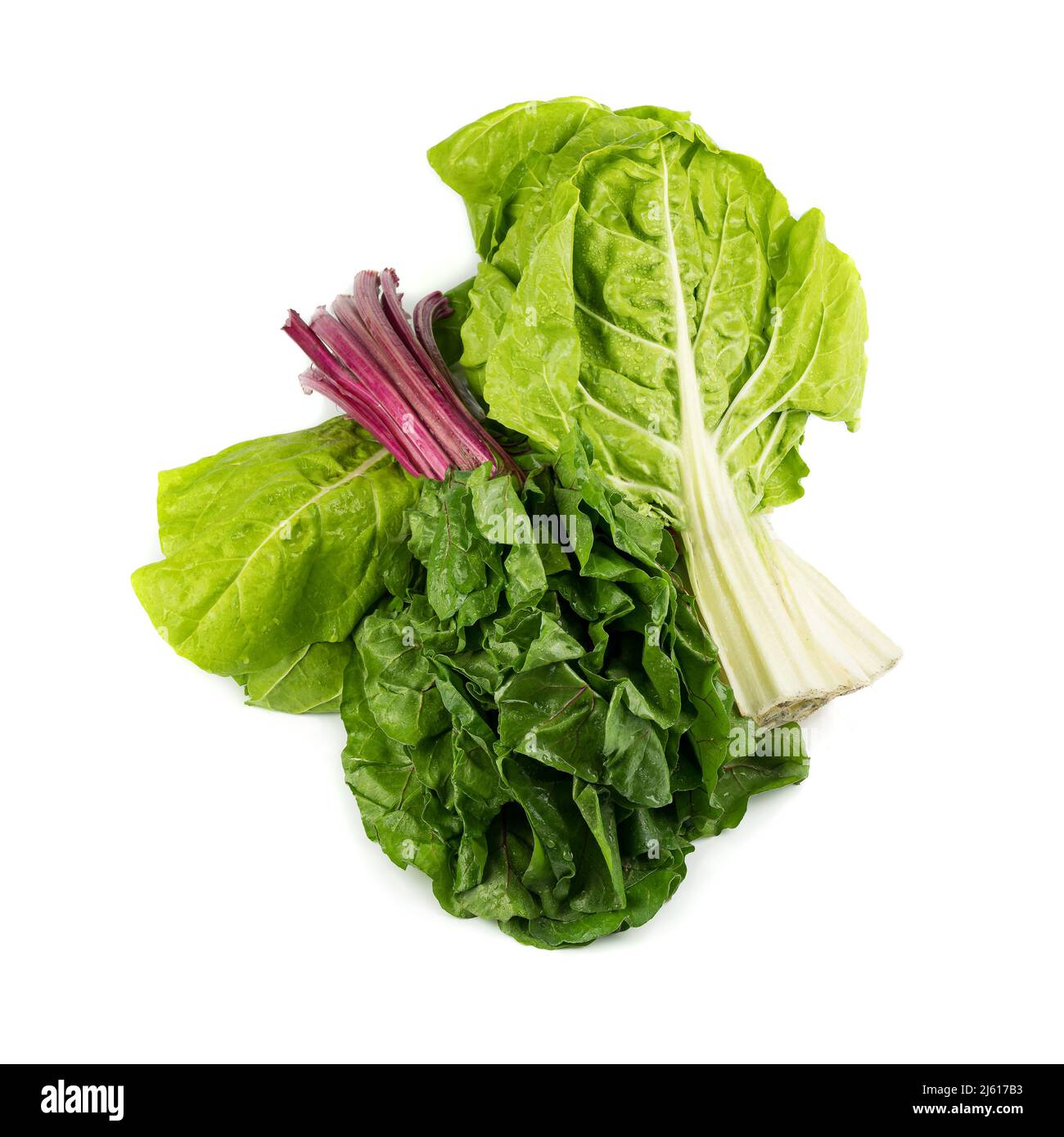 Bunch of red and green chard grouped together, fresh looking with water ...