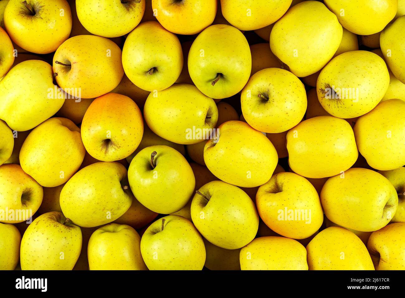 Apple tree pot hi-res stock photography and images - Alamy