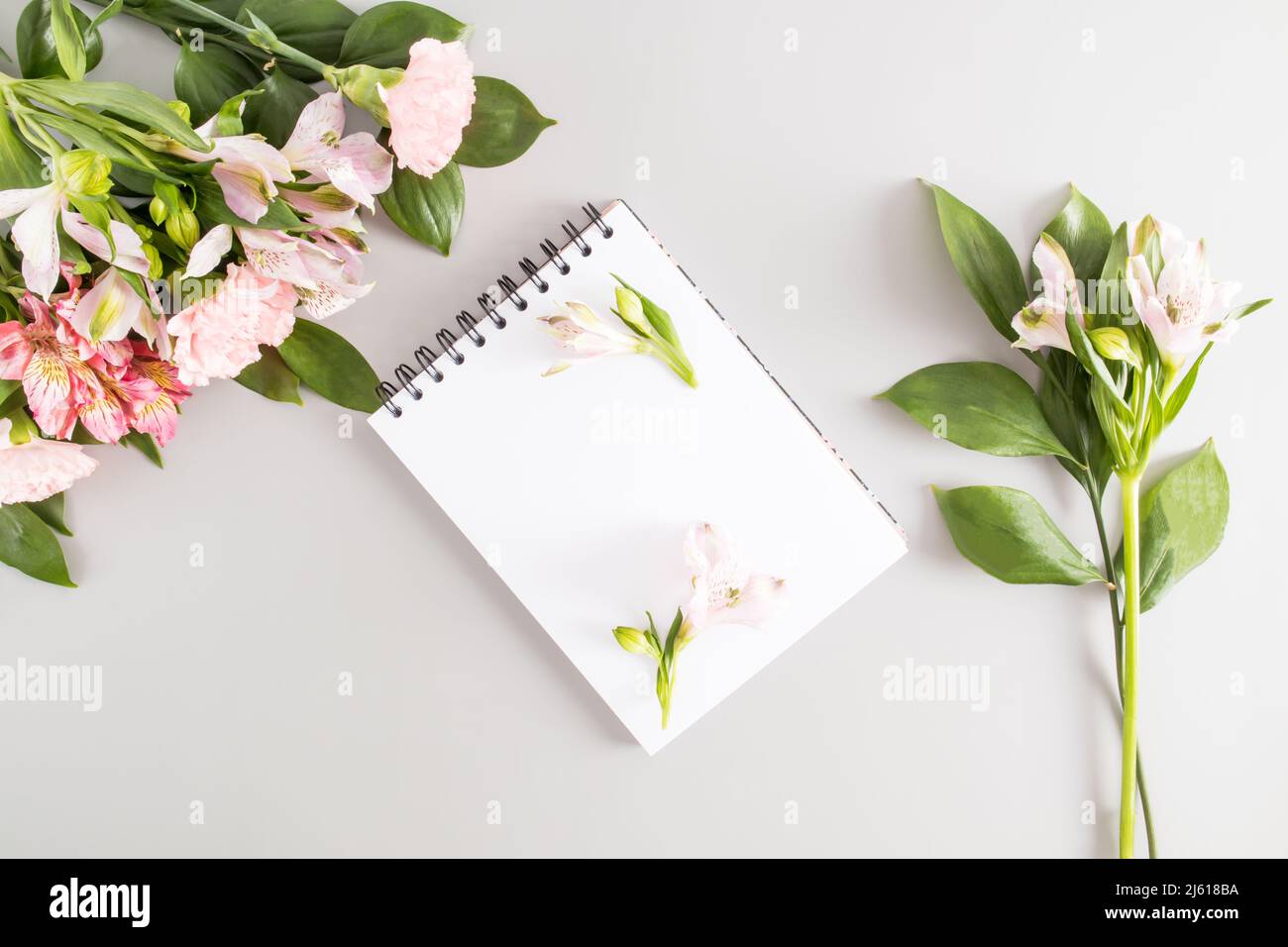 Blank notepad with white sheets for your text on a light background ...