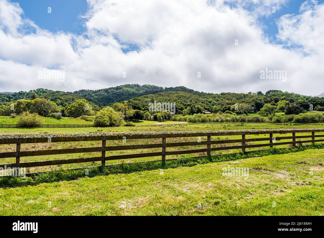 Oak Tree forest in Santa Lucia Preserve Carmel Valley California USA ...