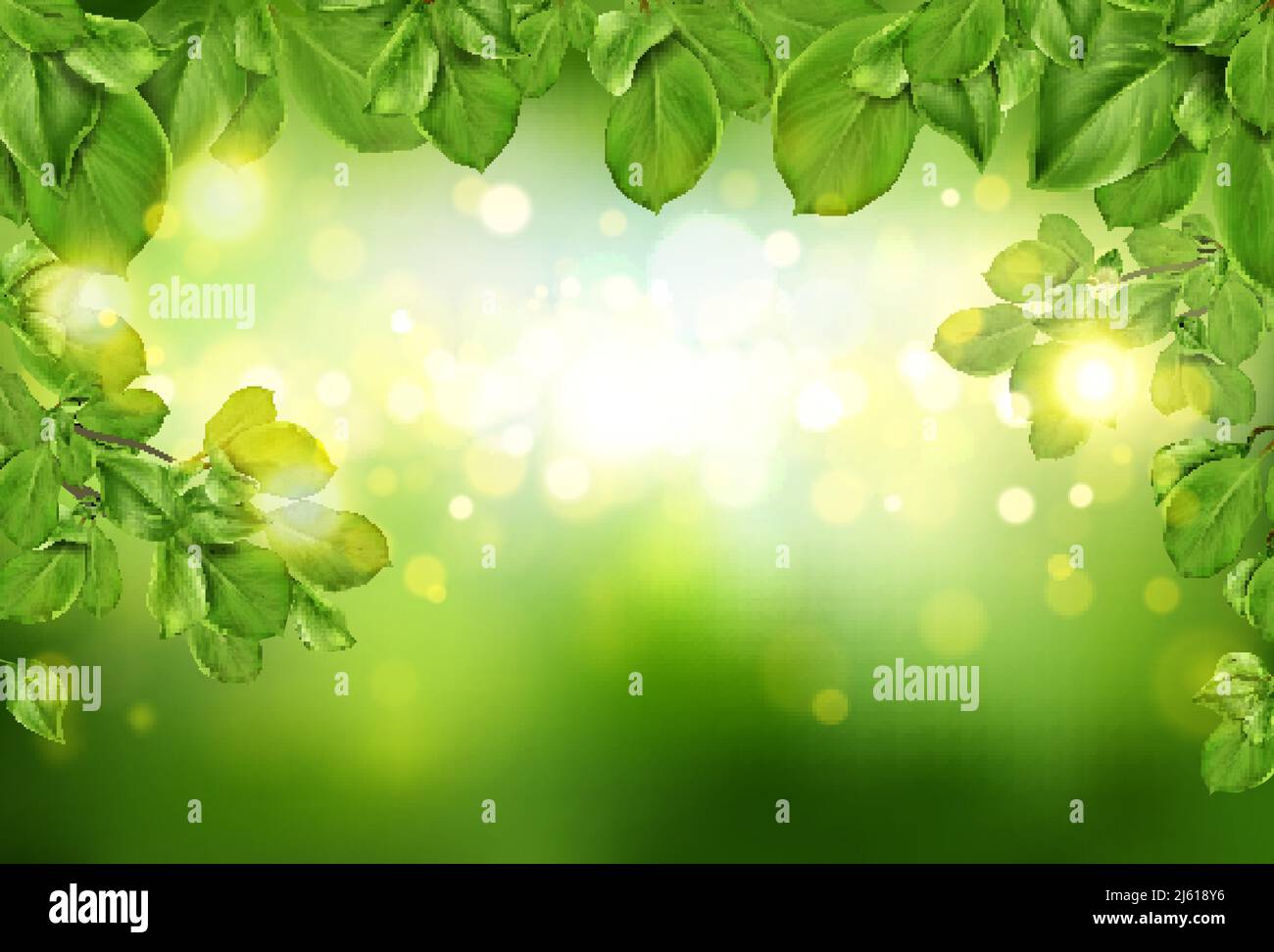 Tree leaves border on green abstract defocused background with sun ...
