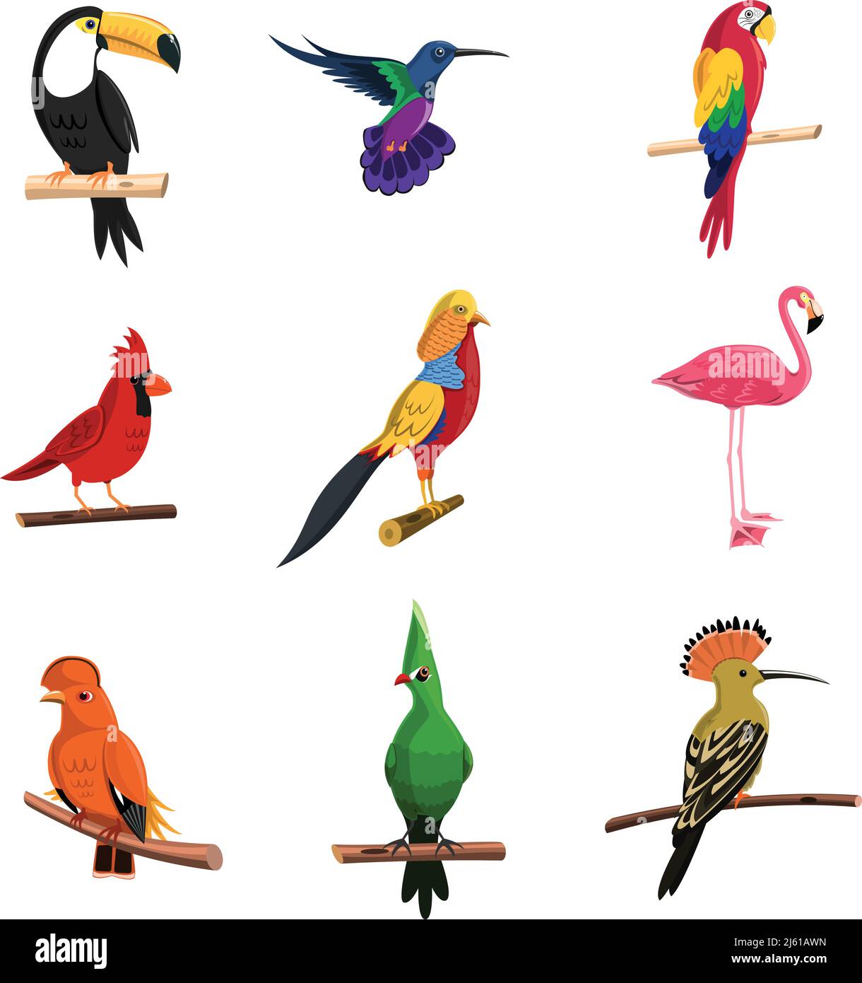 Exotic birds set with toucan parrot and flamingo isolated vector ...