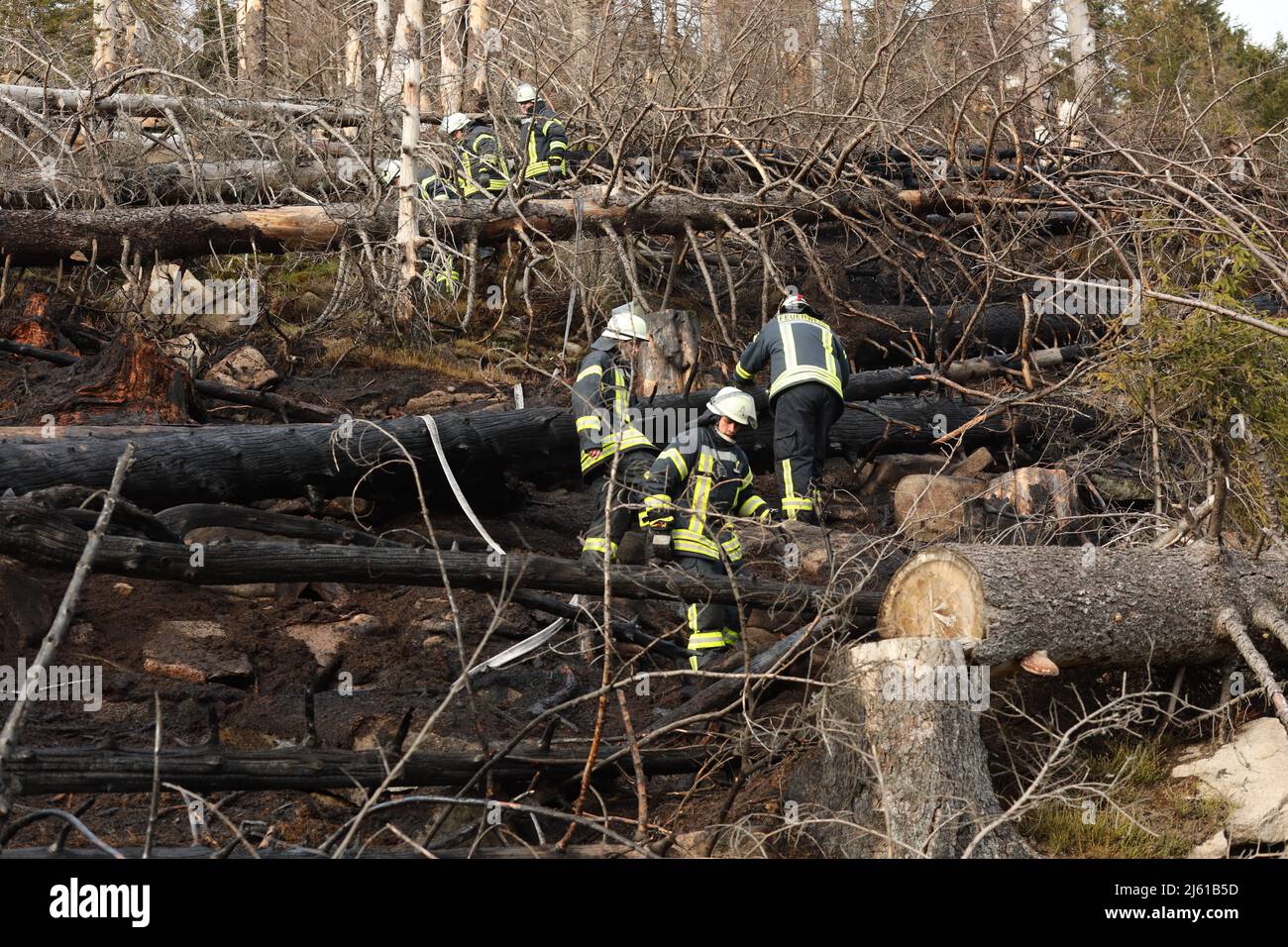 Schierke, Germany. 26th Apr, 2022. Firefighters check the scene of the ...