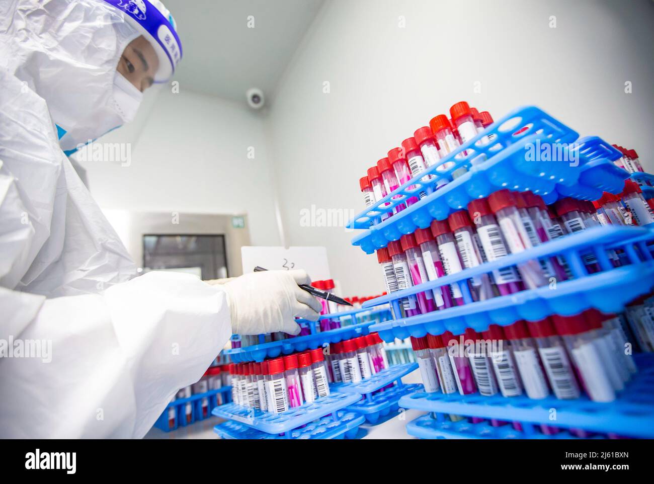 HAIAN, CHINA - APRIL 27, 2022 - Medical staff sort nucleic acid samples ...