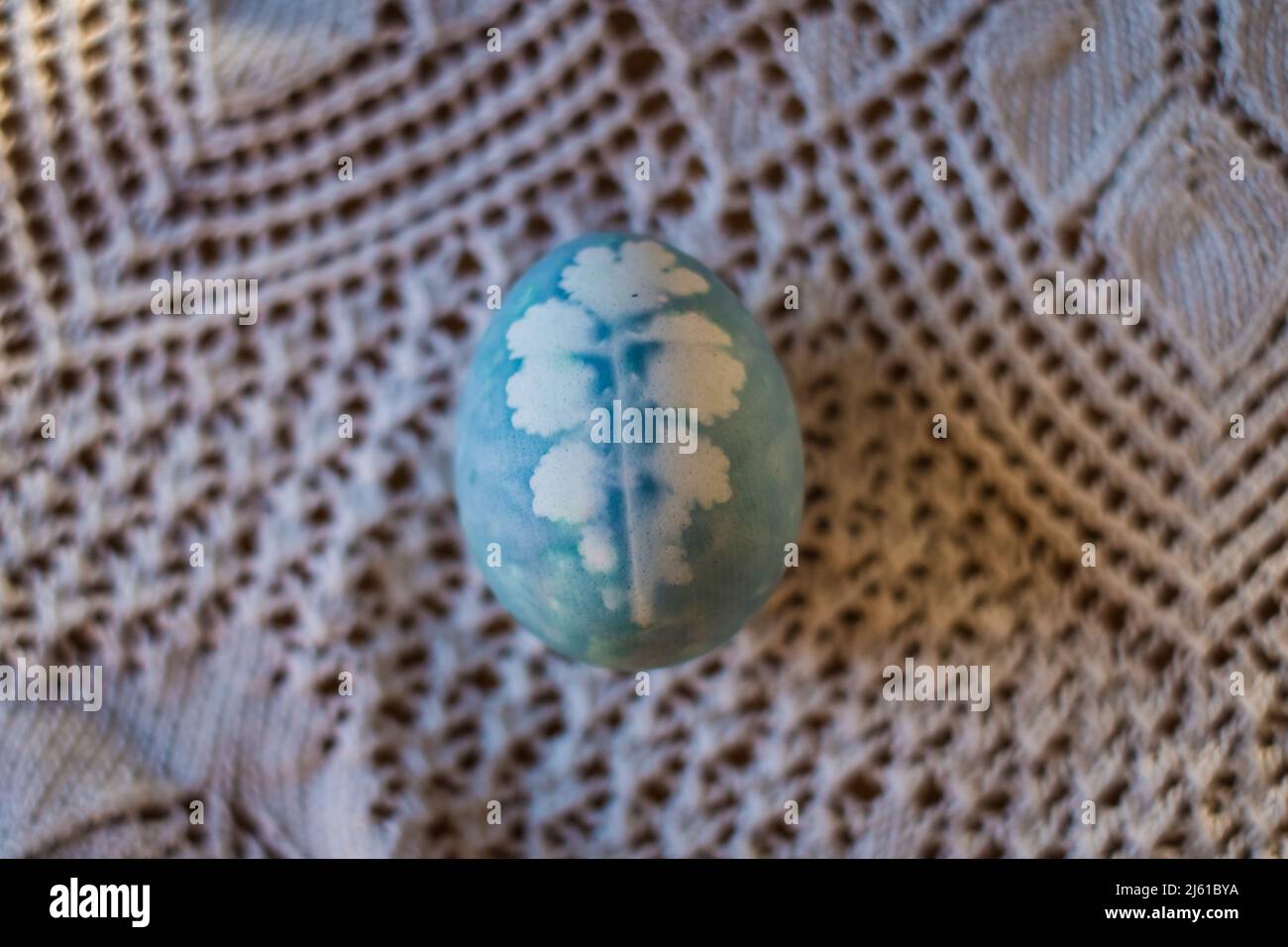 Easter egg painted with natural egg dye from plants Stock Photo - Alamy