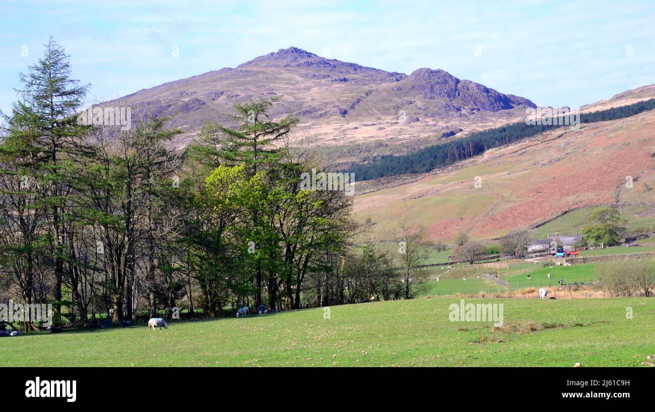 Cockley beck farm hi-res stock photography and images - Alamy