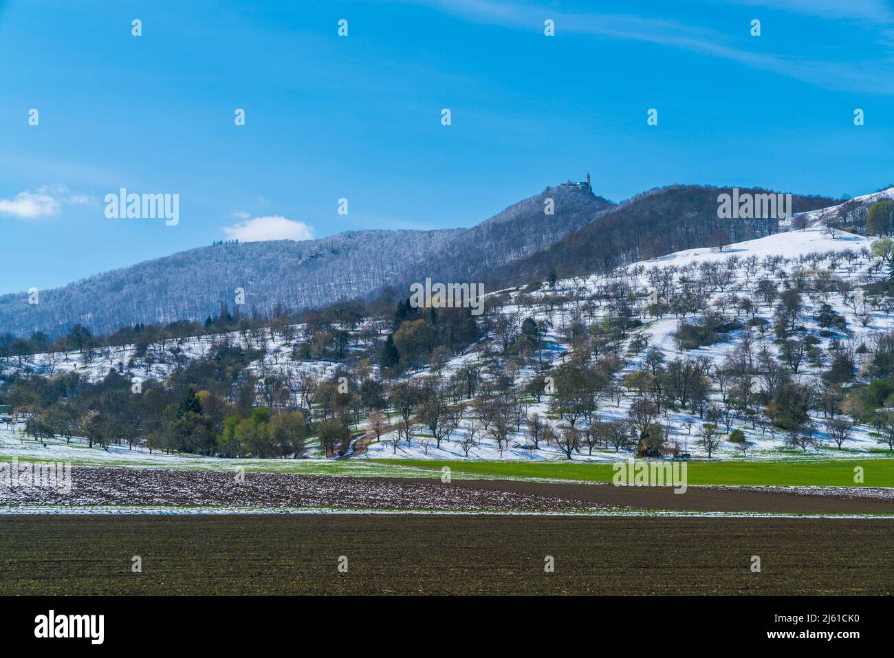 Germany, Castle teck ruins on swabian alb mountain teckberg summit ...