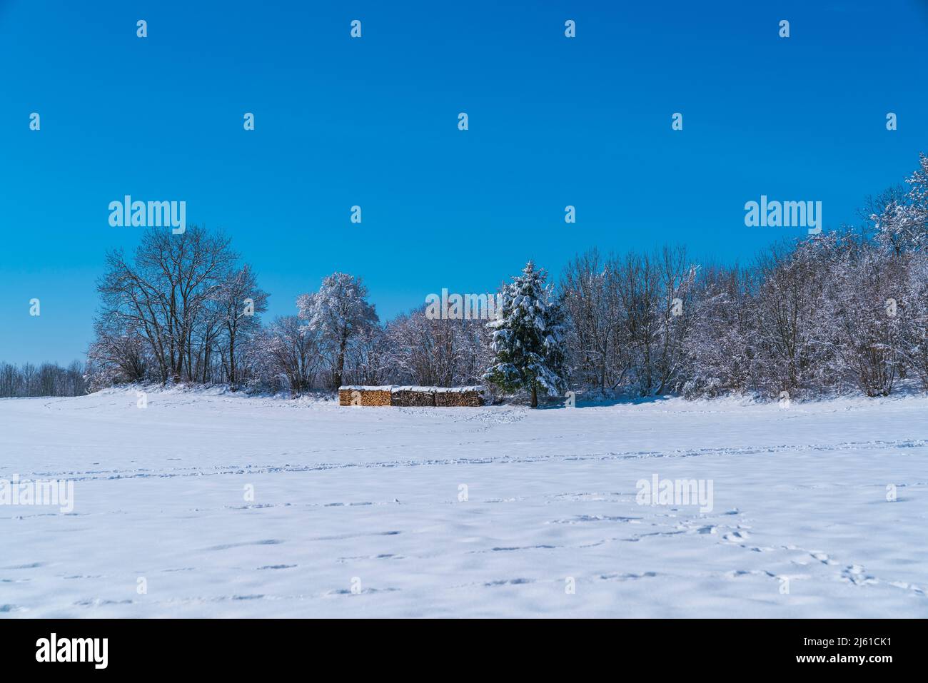 Make this day perfect hi-res stock photography and images - Alamy