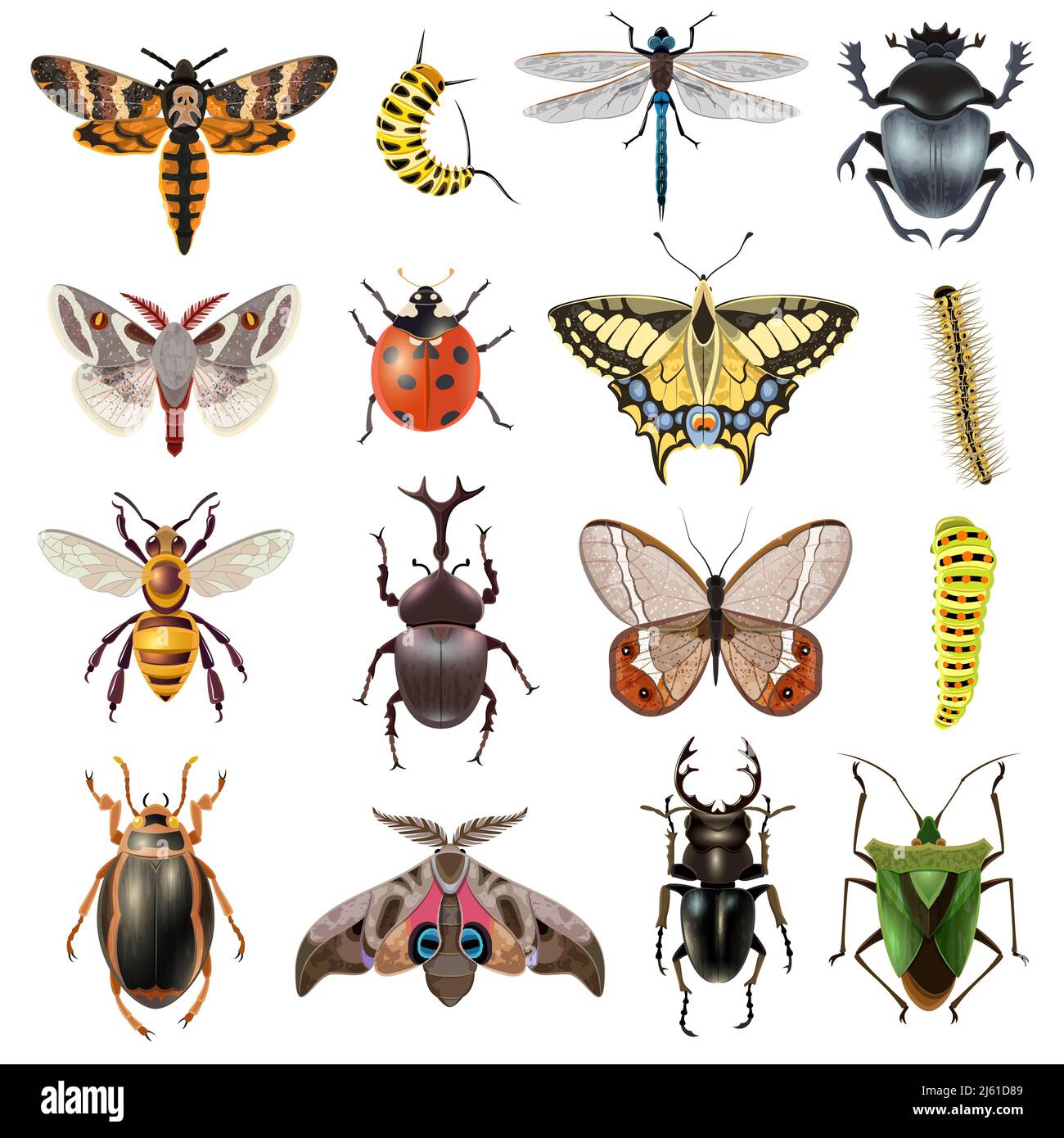Insects realistic icons set with butterfly and beetles isolated vector ...
