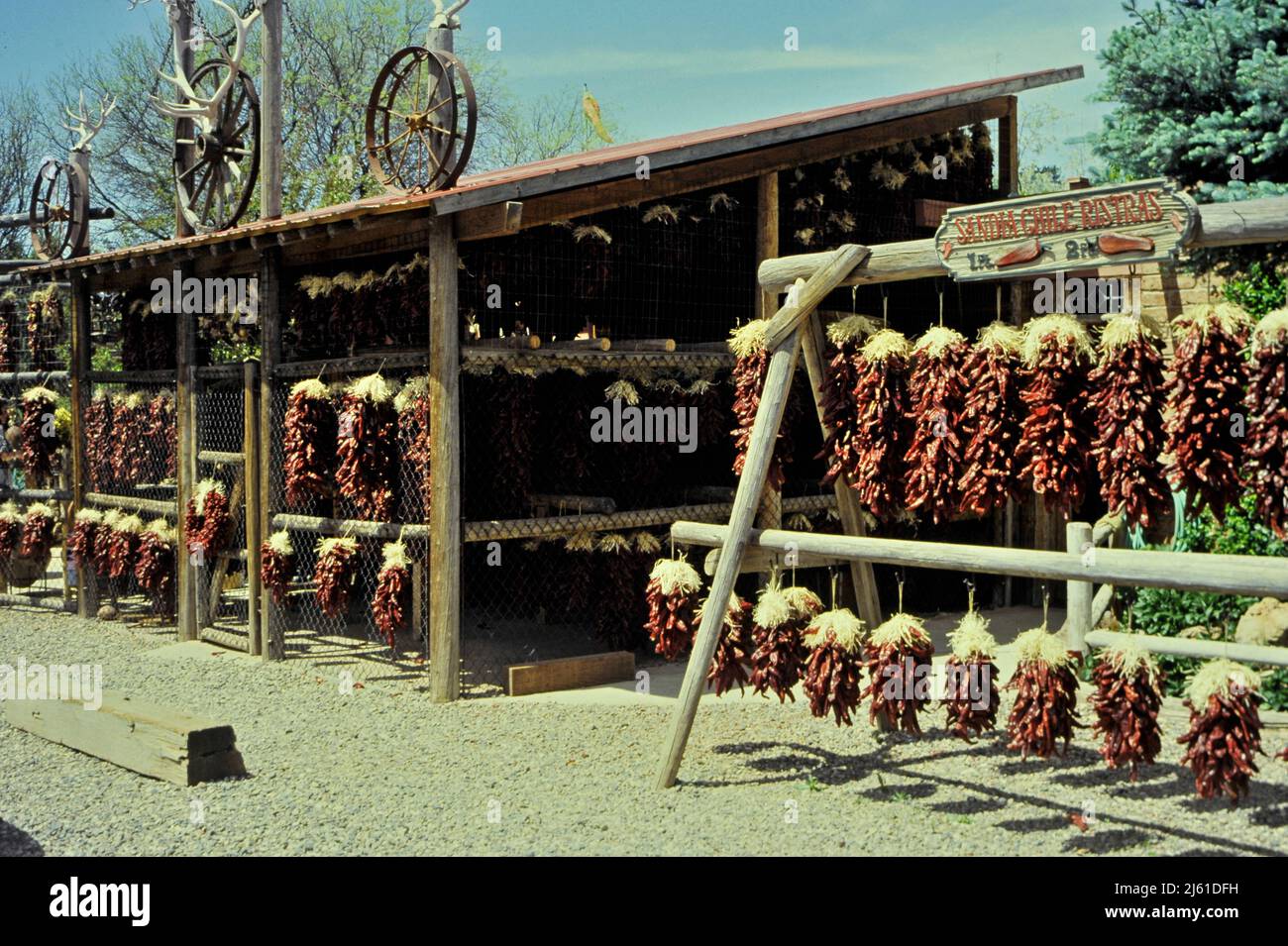 red hot chili peppers decorations hanging on display at outdoor market ...