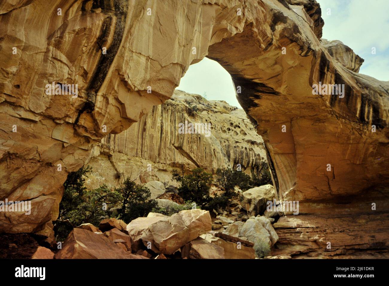 Striking arches hi-res stock photography and images - Alamy