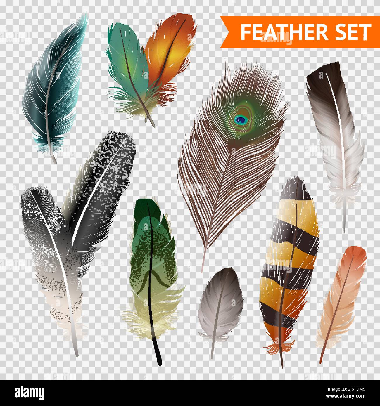 Bird feathers realistic set on transparent background isolated vector ...