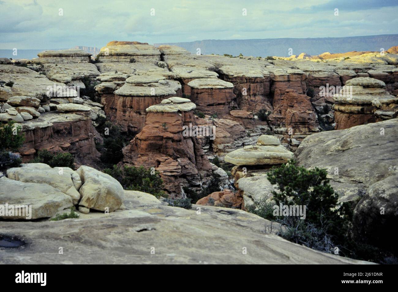 striking scenery of needles national park, UT, in the USA Stock Photo ...