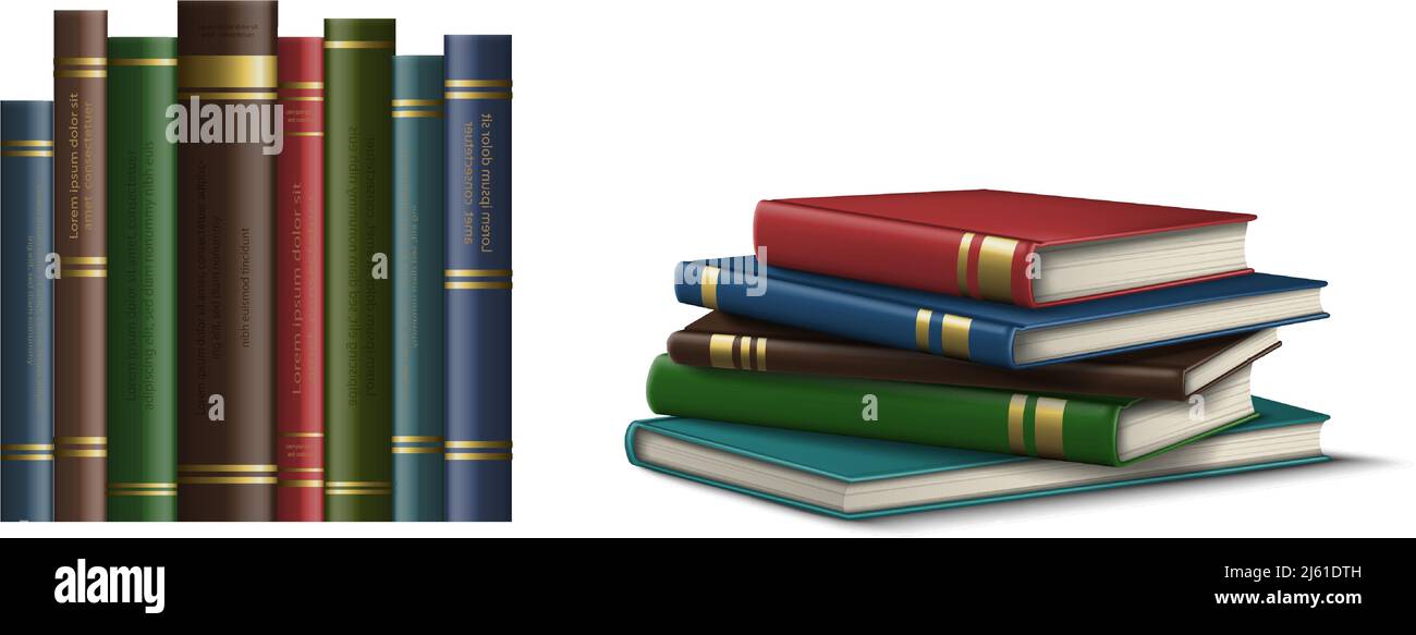 Row Of Books Vector