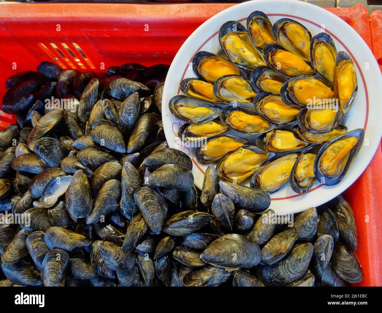 Closeup open hi-res stock photography and images - Alamy