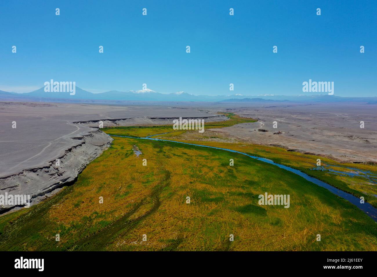 Laguna Inka Coya - Chile Stock Photo - Alamy