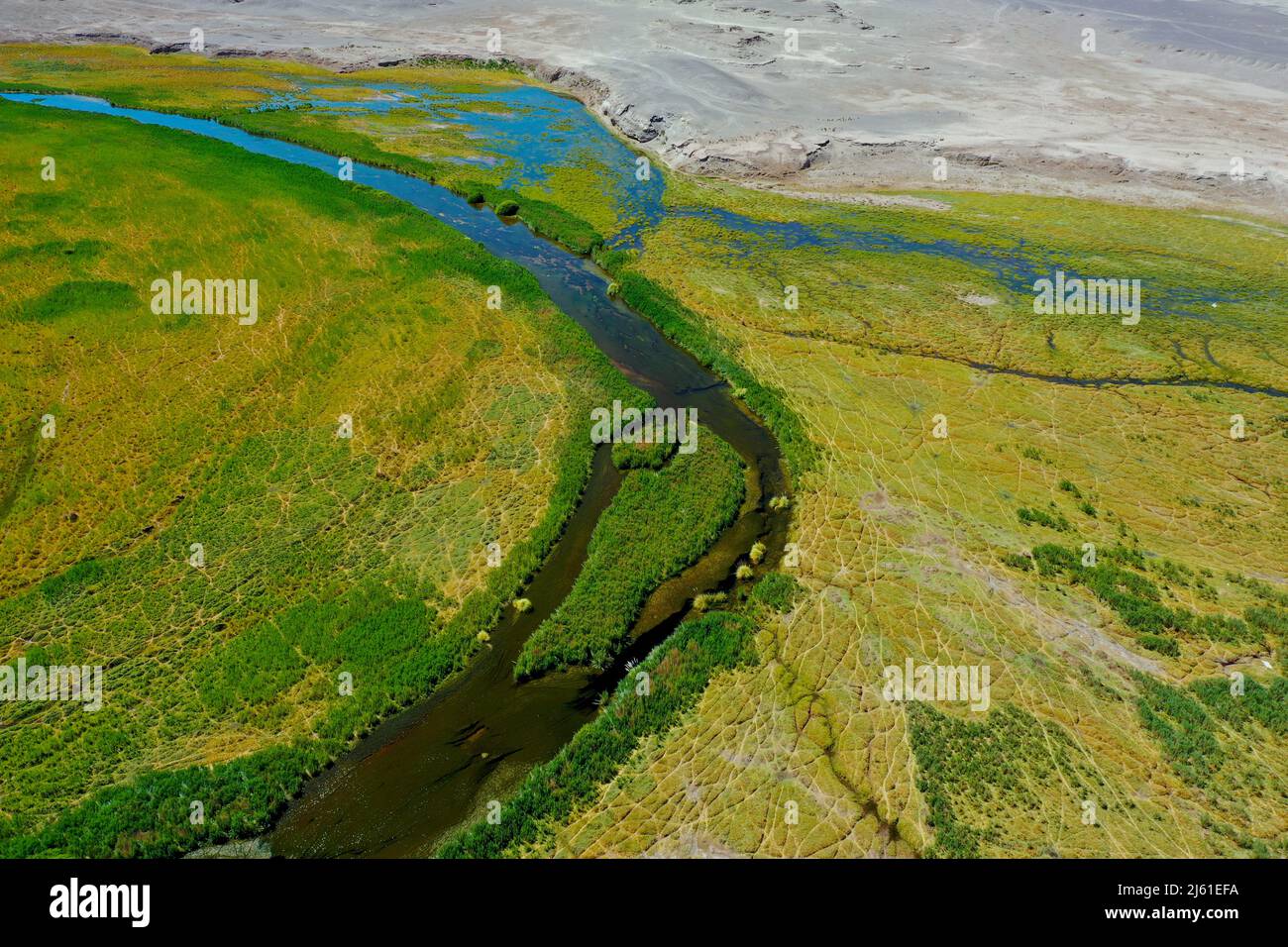 Laguna Inka Coya - Chile Stock Photo - Alamy