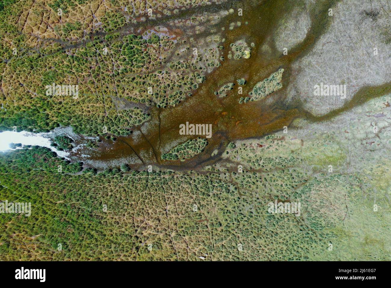 Laguna Inka Coya - Chile Stock Photo - Alamy