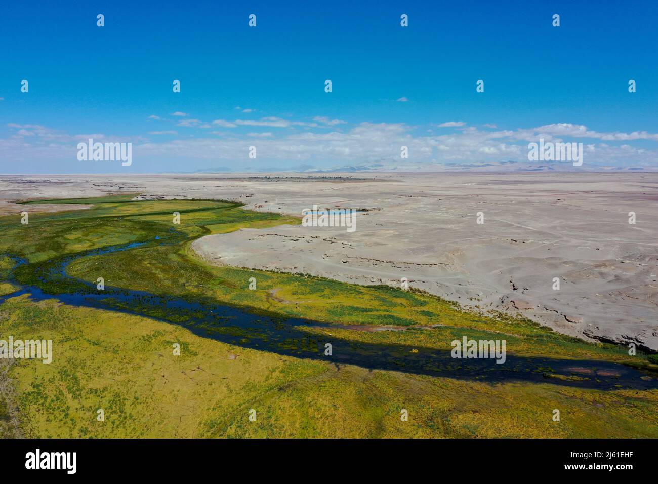 Laguna Inka Coya - Chile Stock Photo - Alamy
