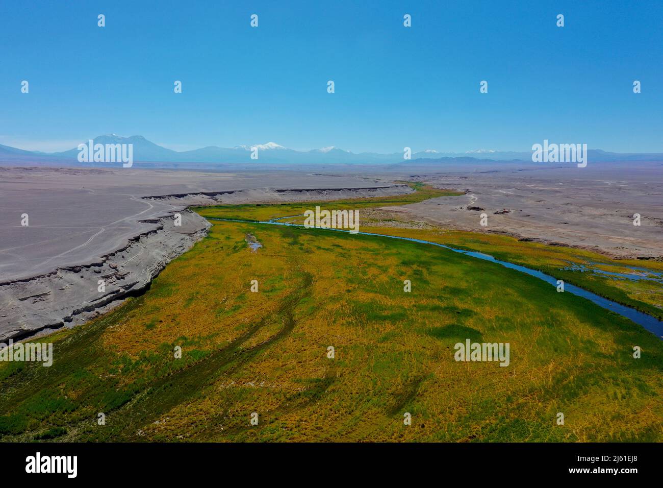 Laguna Inka Coya - Chile Stock Photo - Alamy