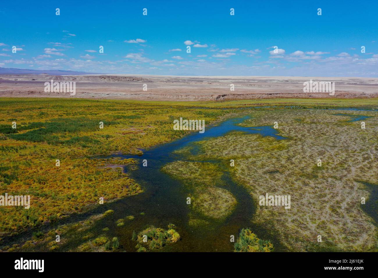 Laguna Inka Coya - Chile Stock Photo - Alamy