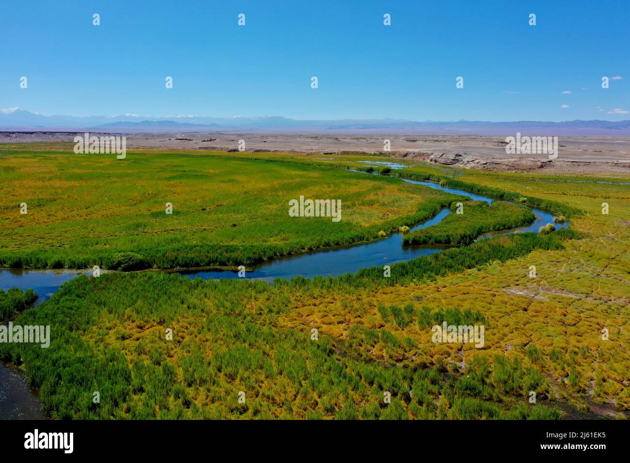 Laguna Inka Coya - Chile Stock Photo - Alamy
