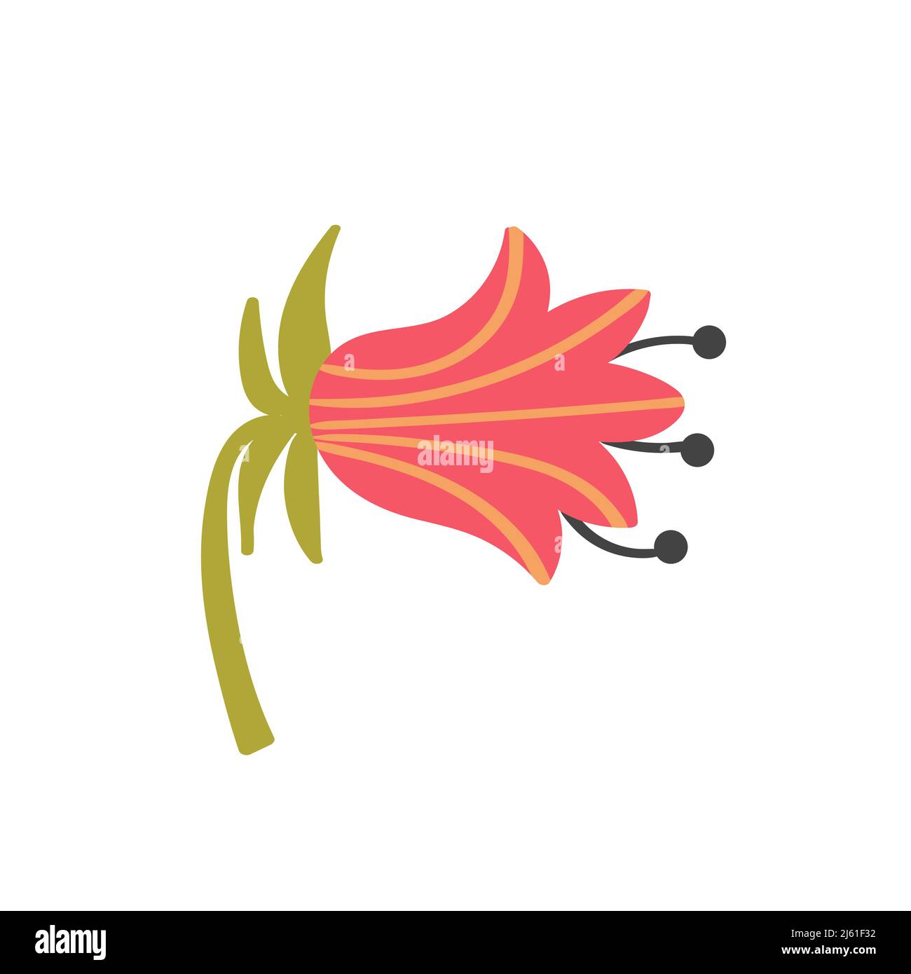 Pink bell flower Stock Vector Images - Alamy