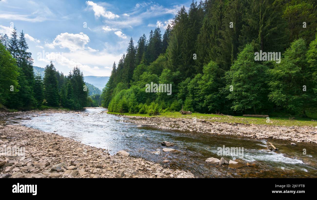 summer landscape with mountain river. nature scenery with forest on the ...