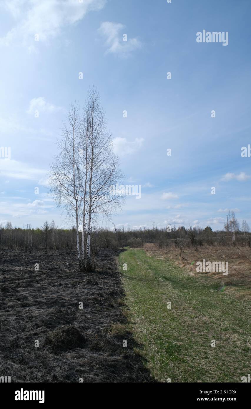 Scorched earth landscape field hi-res stock photography and images - Alamy