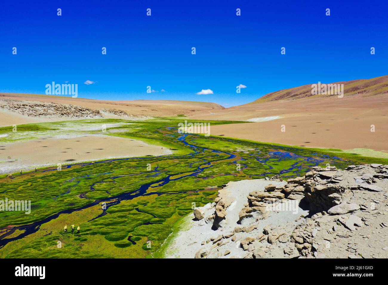 Atacama Desert from above Stock Photo - Alamy