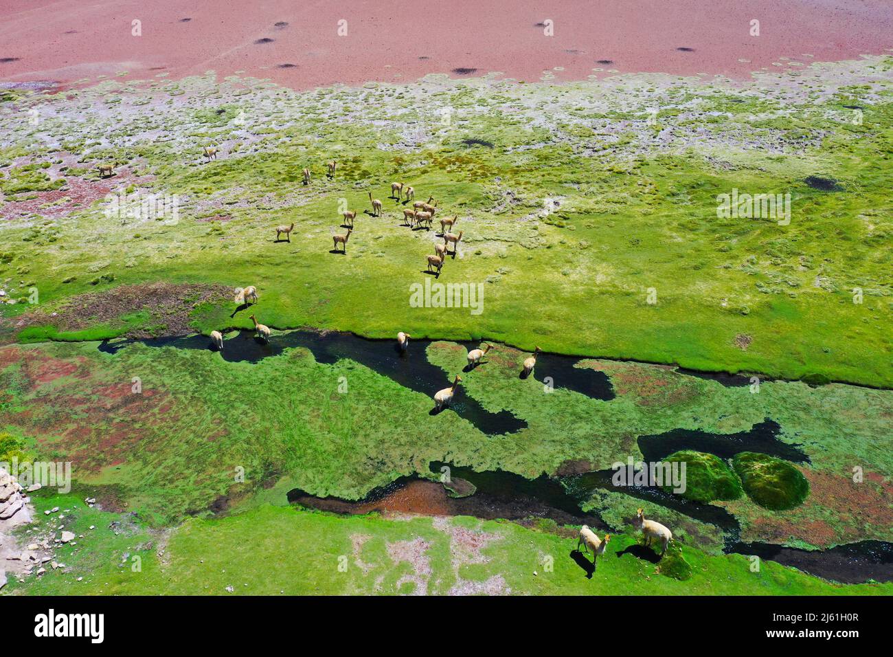 Wuste von oben hi-res stock photography and images - Alamy