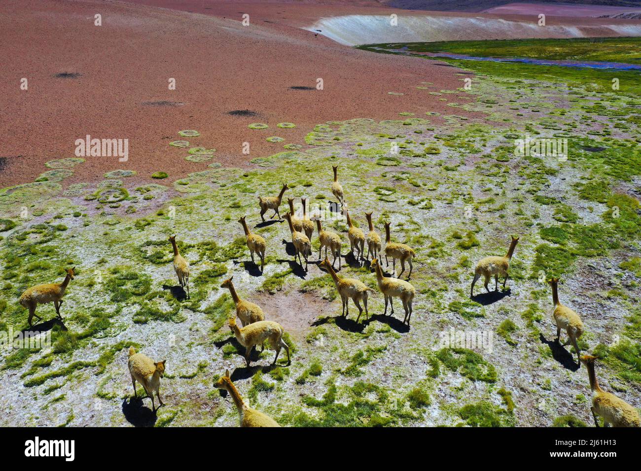 Chile von oben hi-res stock photography and images - Alamy
