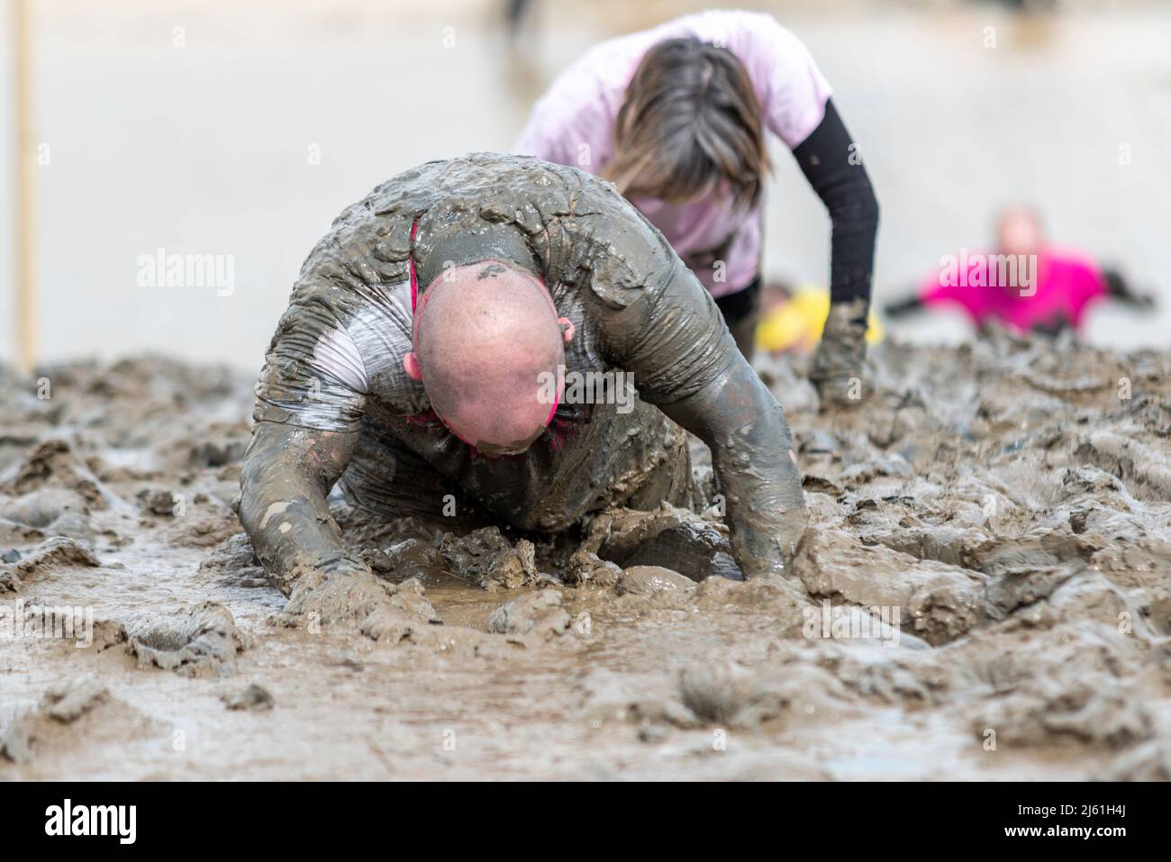 Bald male crawling in the mud at the Maldon Mud Race 2022 on the River ...
