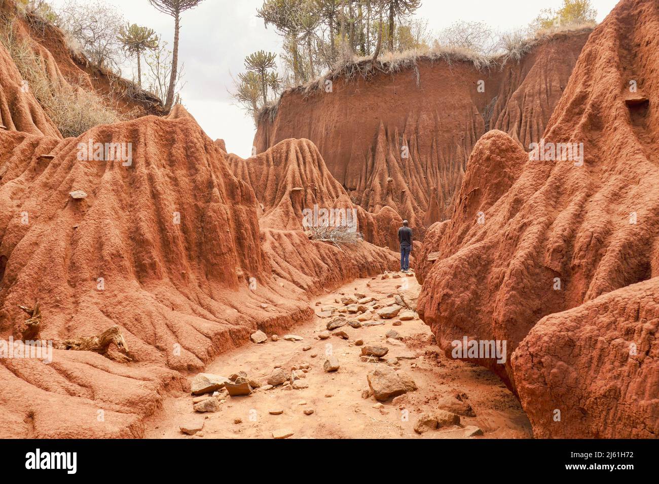 A hiker at a scenic view point at Ol Jogi Canyons in Nanyuki, Kenya ...