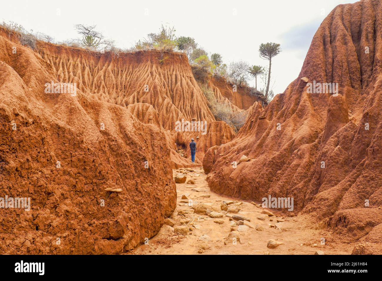 A hiker at a scenic view point at Ol Jogi Canyons in Nanyuki, Kenya ...