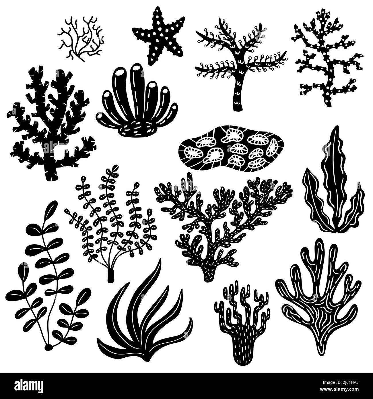 Corals algae Cut Out Stock Images & Pictures - Alamy