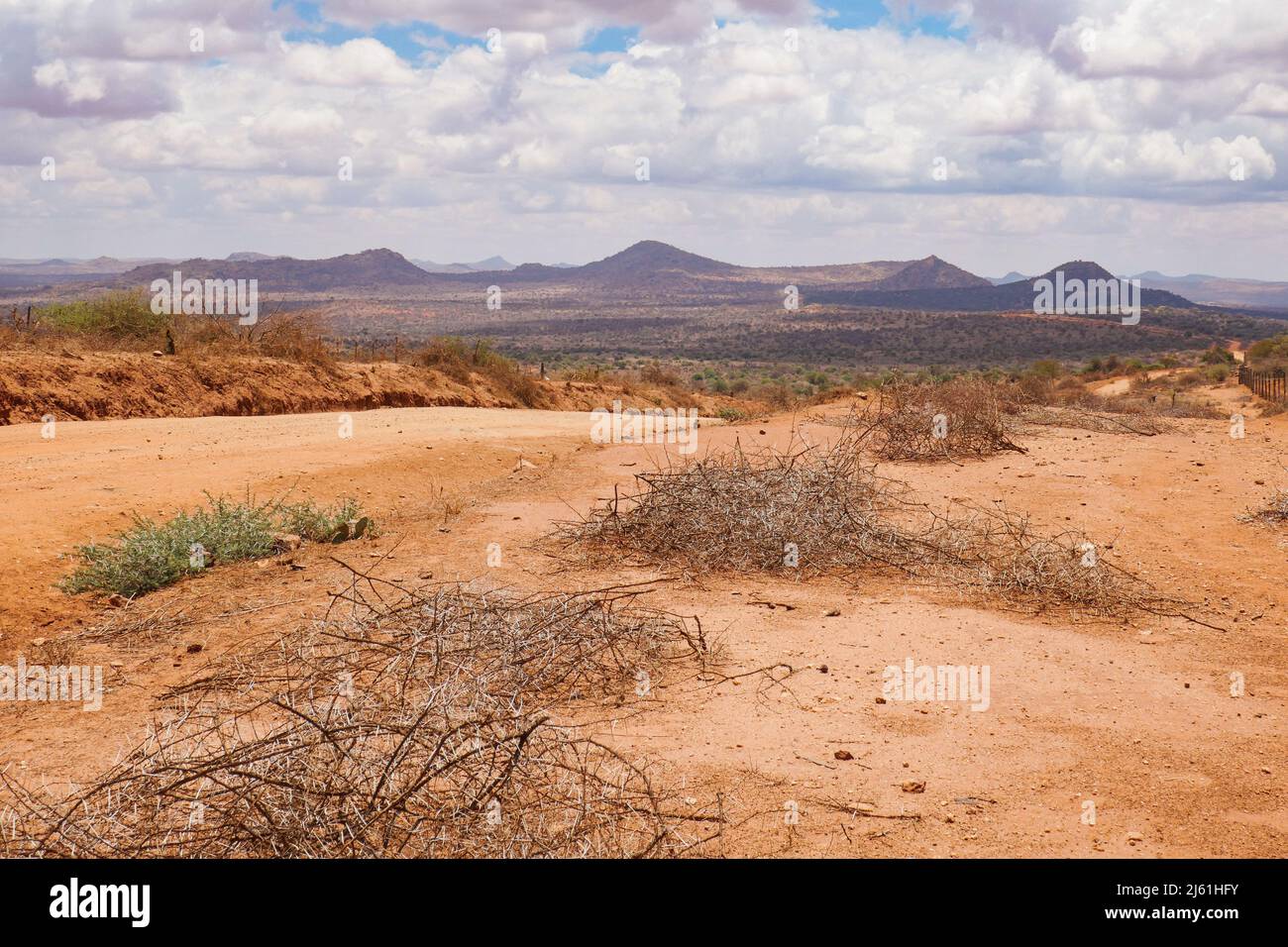 An empty dirt road in the arid landscapes of Nanyuki, Kenya Stock Photo ...
